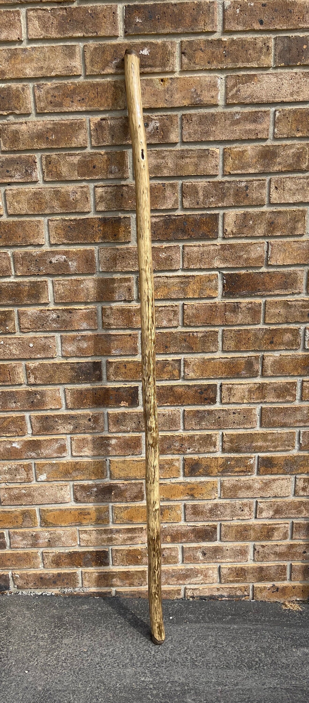 Sumac Tree Walking Stick • Walking Stick - Etsy