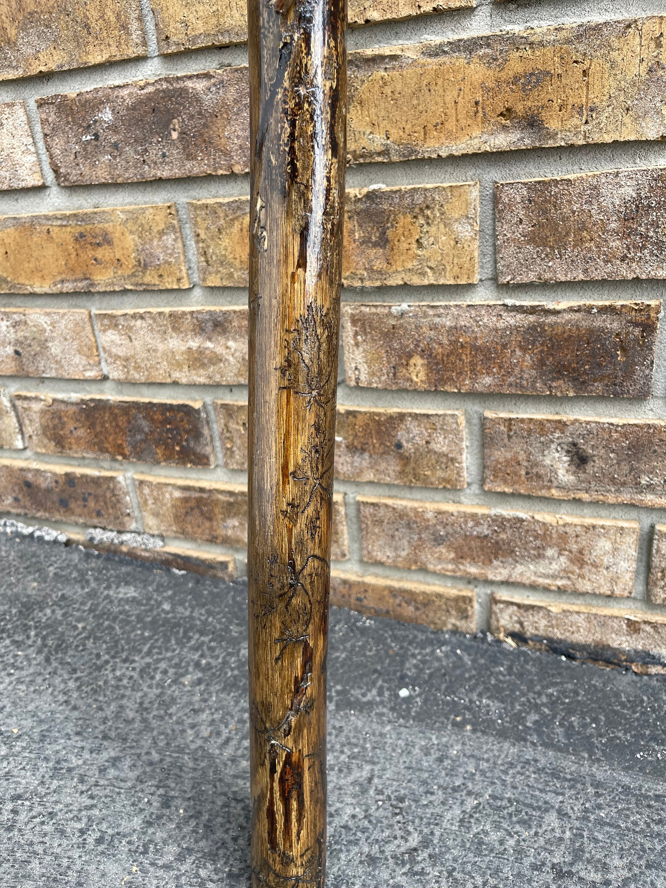 Sumac Tree Walking Stick Walking Stick - Etsy