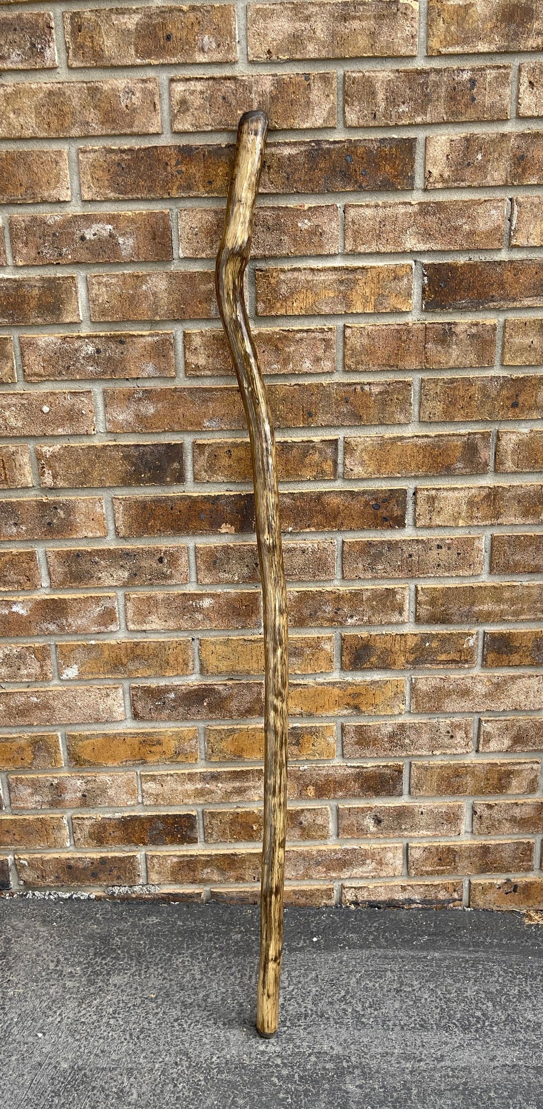 Sumac Tree Walking Stick Walking Stick - Etsy