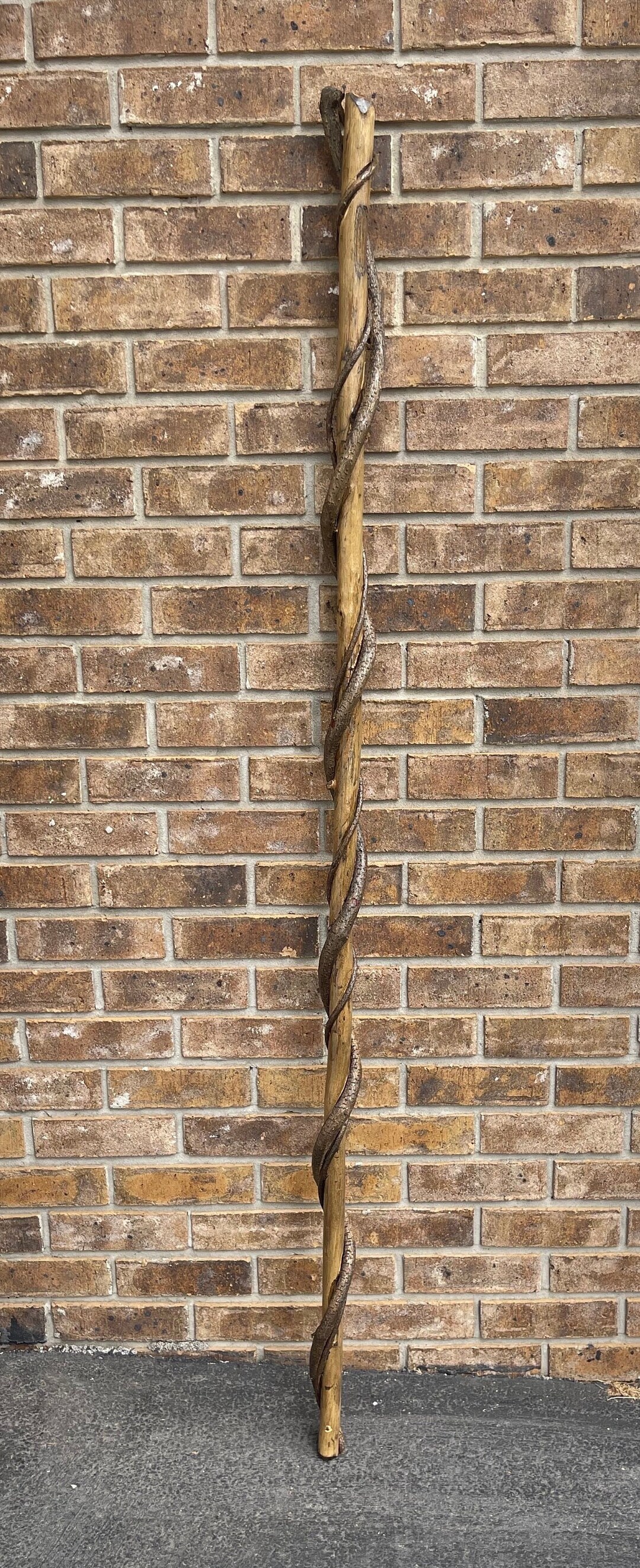 Sumac Tree Walking Stick Walking Stick - Etsy