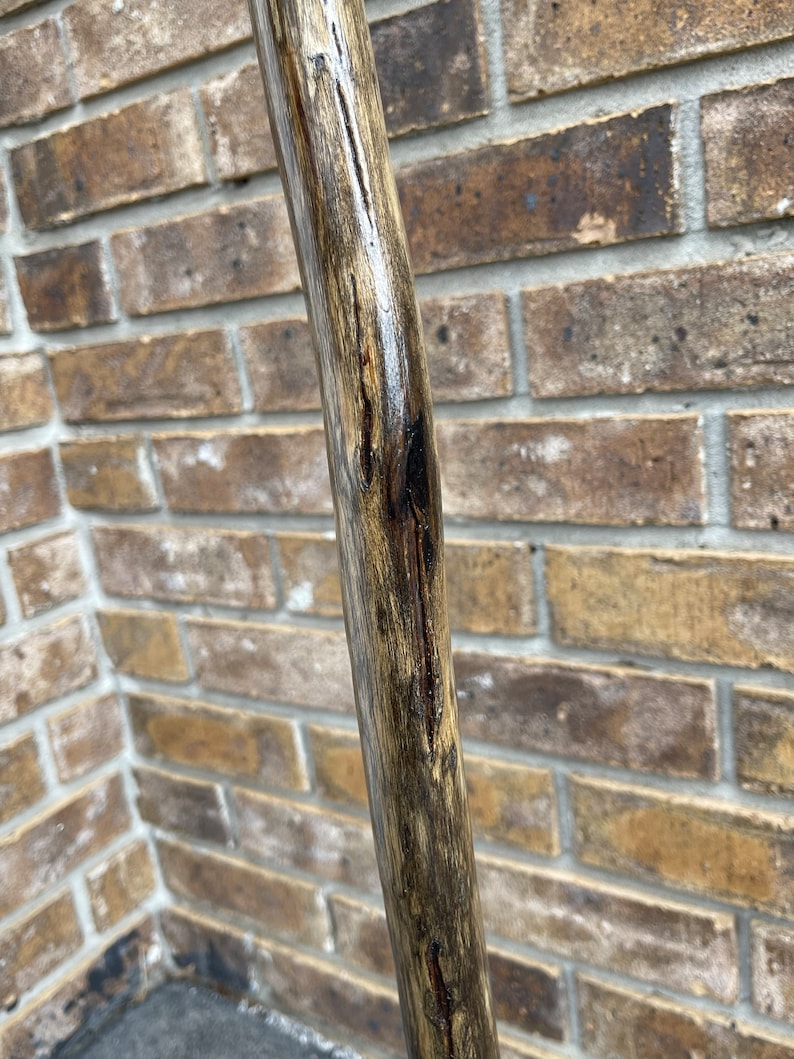 Sumac Tree Walking Stick Walking Stick - Etsy