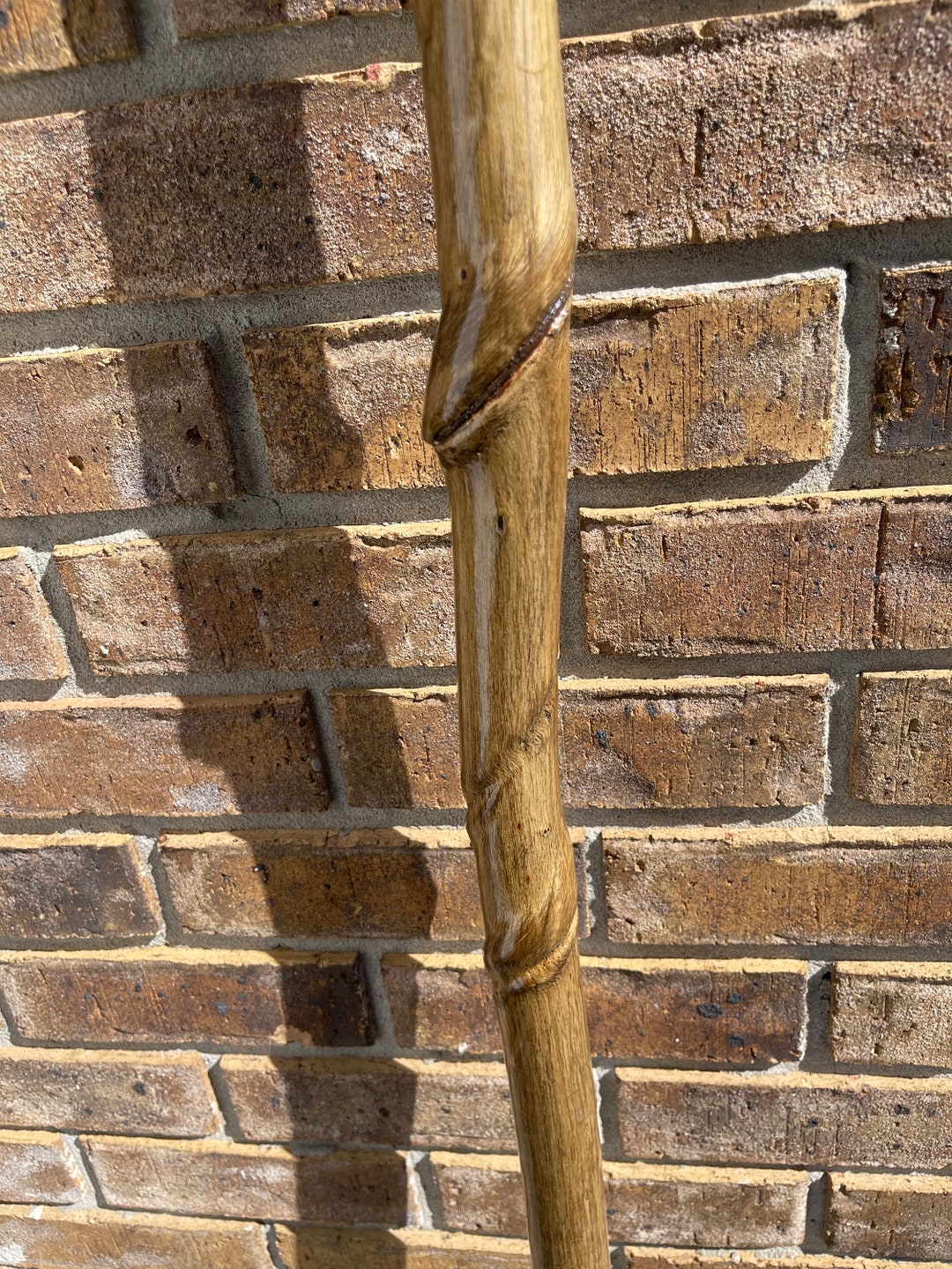 Sumac Tree Walking Stick • Walking Stick - Etsy