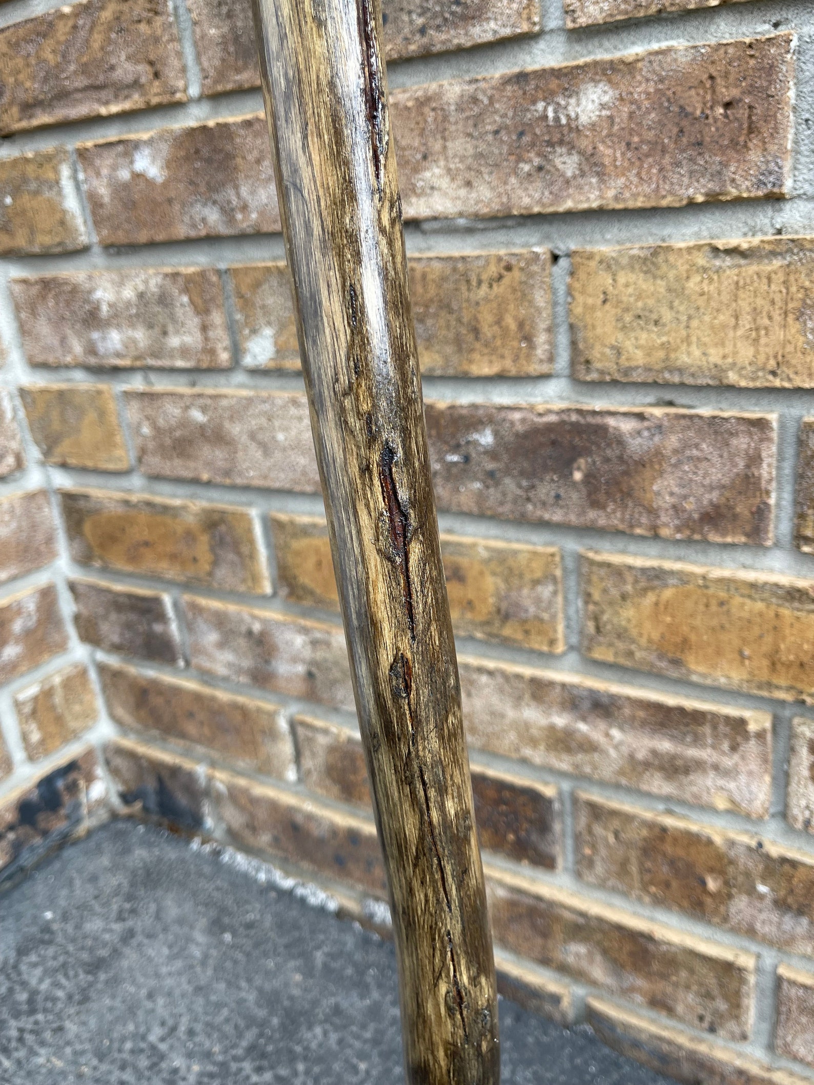 Sumac Tree Walking Stick Walking Stick - Etsy