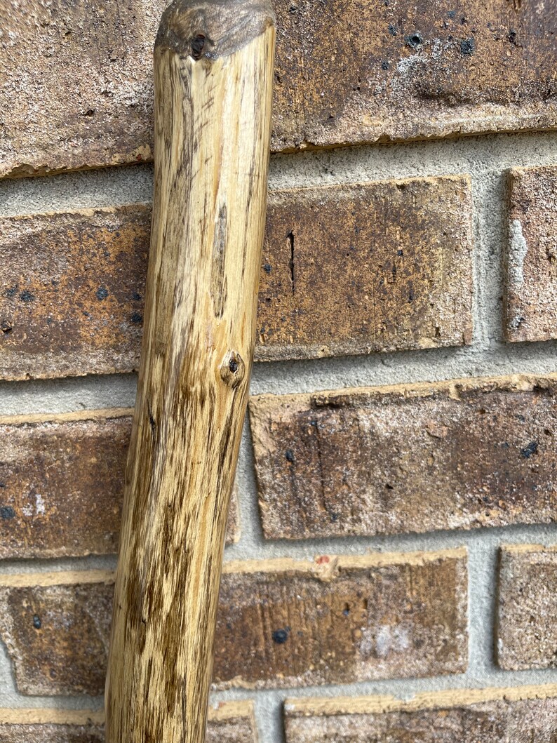 Sumac Tree Walking Stick • Walking Stick - Etsy