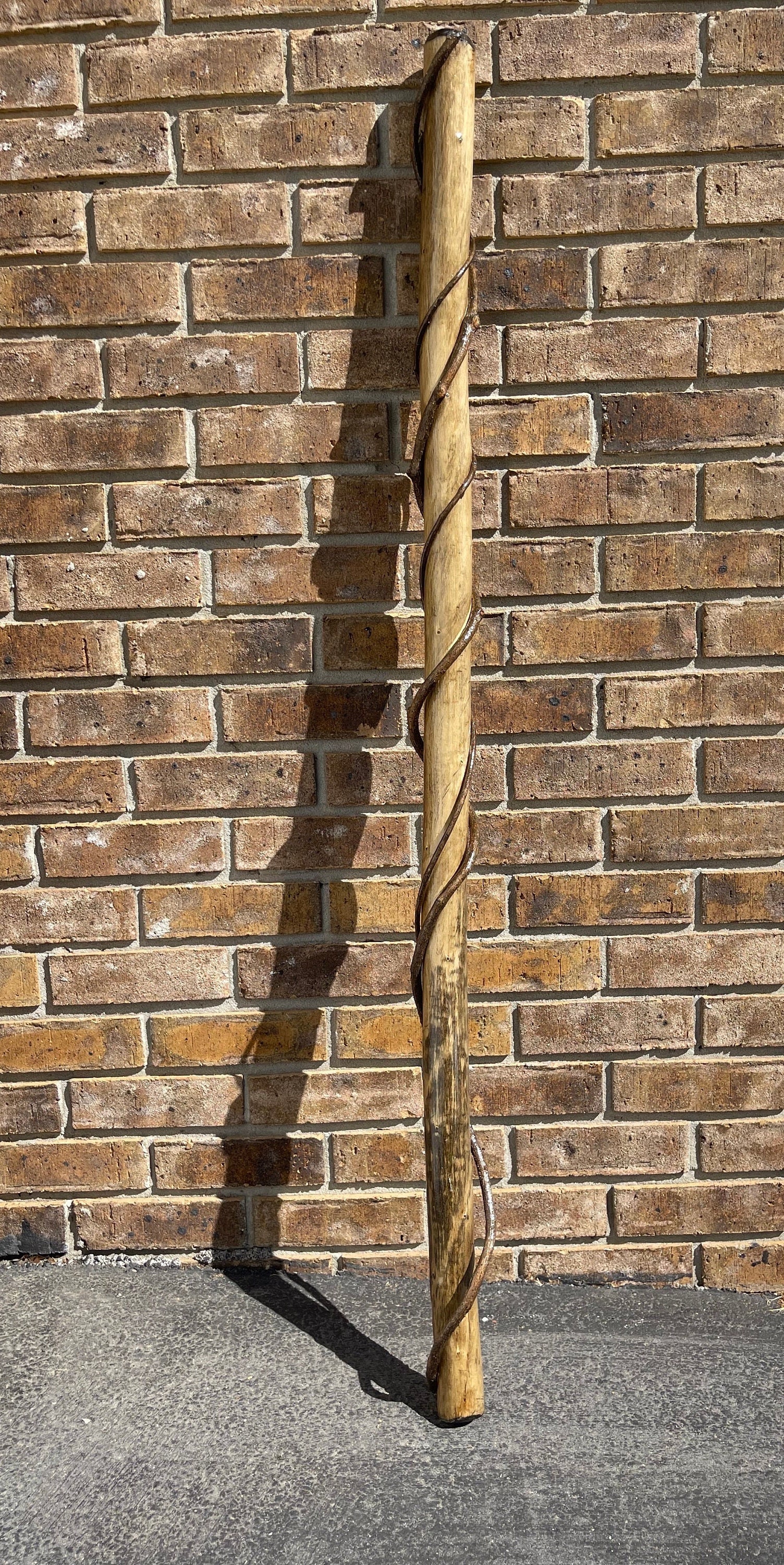 Walking Stick • Sumac Tree Walking Stick - Etsy