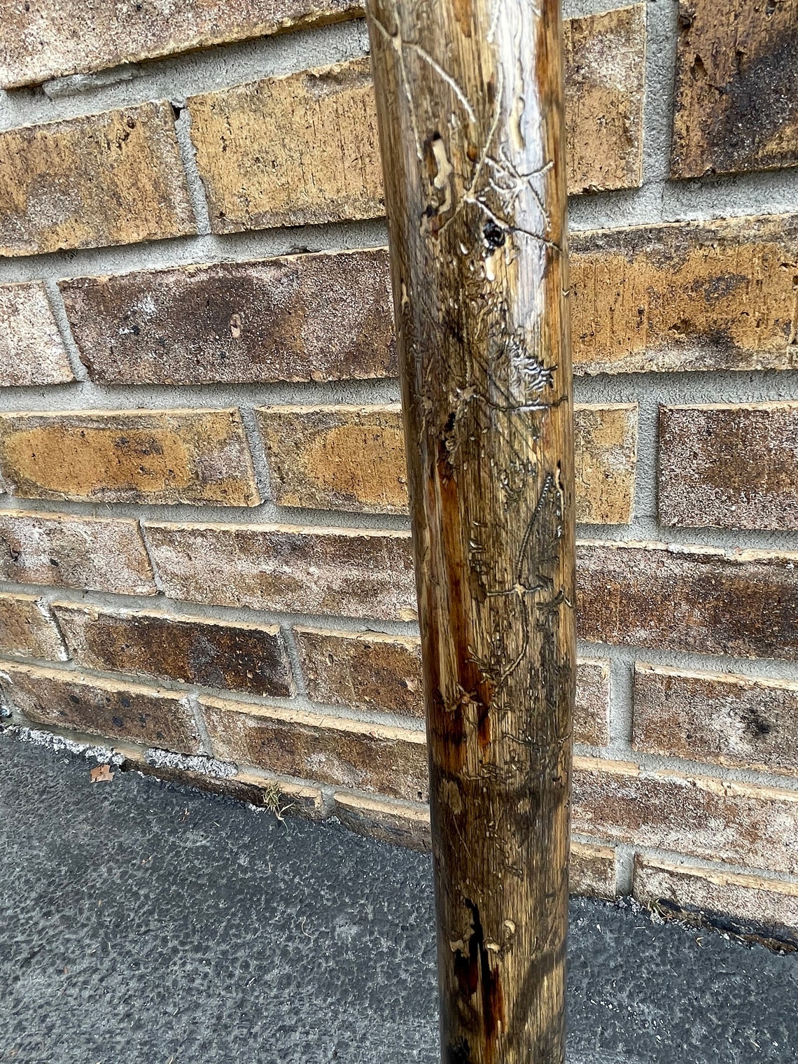 Sumac Tree Walking Stick • Walking Stick - Etsy