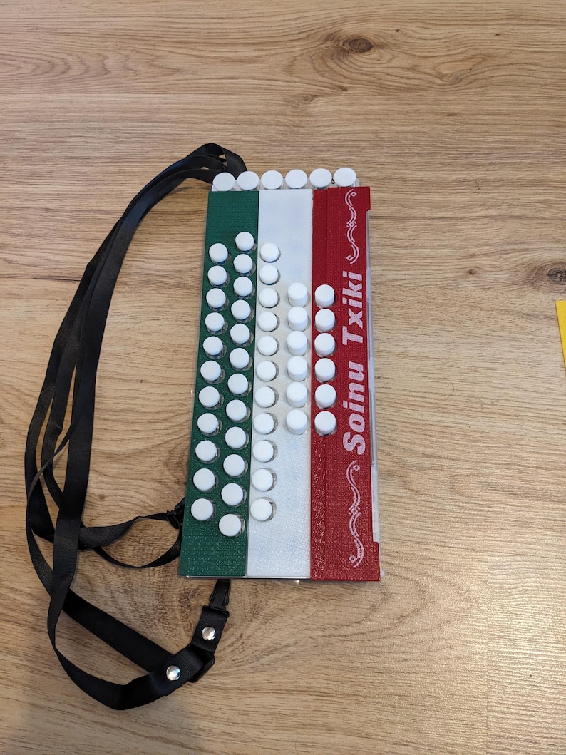 Soinu Txiki IX11 bisonoric diatonic accordion - Etsy España