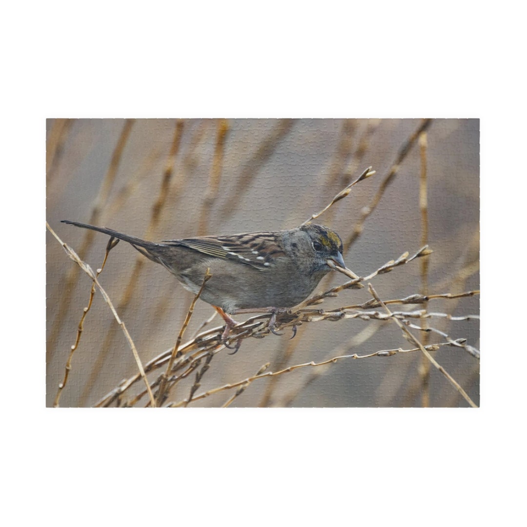 Golden-crowned Sparrow Jigsaw Puzzle (110, 252, 500, 1014-piece) - Etsy