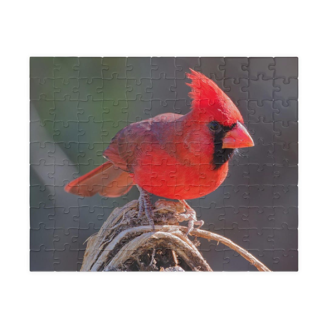 Cardinal Desert Jigsaw Puzzle, 110 252 520 1014-piece, Nature Wildlife ...
