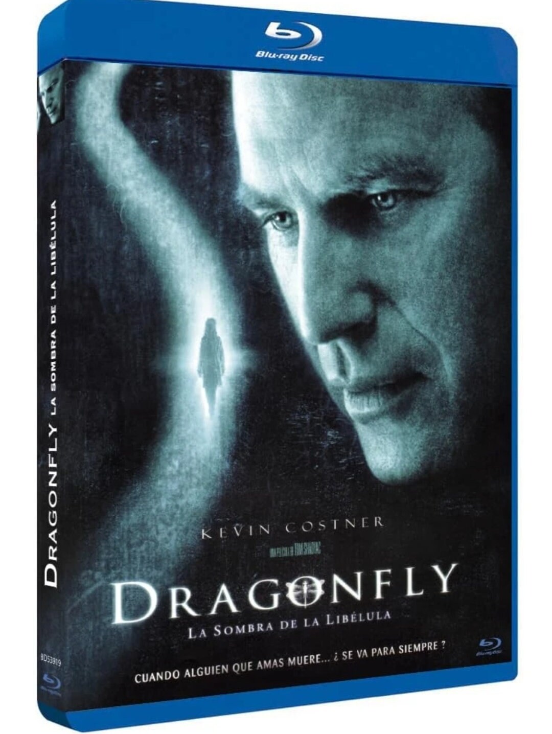 Dragonfly Shadow of the Dragonfly BD 2002 Dragonfly blu-ray - Etsy