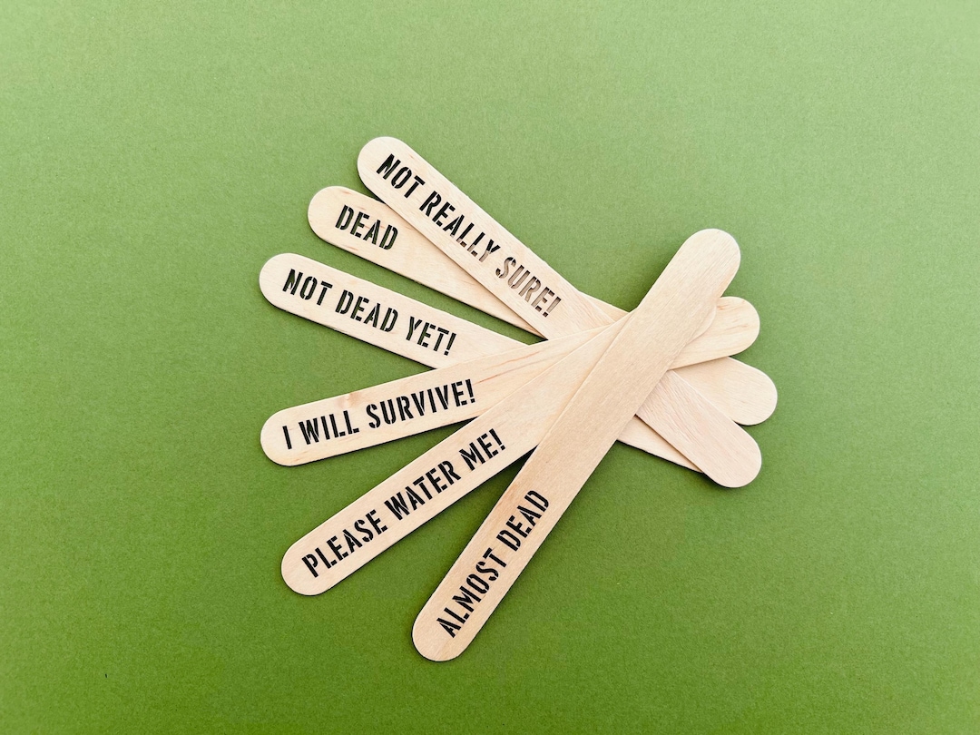 Funny Plant Markers, Ideal Gift, Solid Birch Laser Cut Plant, Vegetable ...