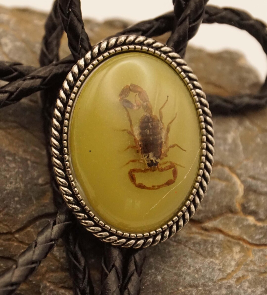 Bolo Tie Leather Lace-up Tie Scorpion in Rope Motif Edge - Etsy