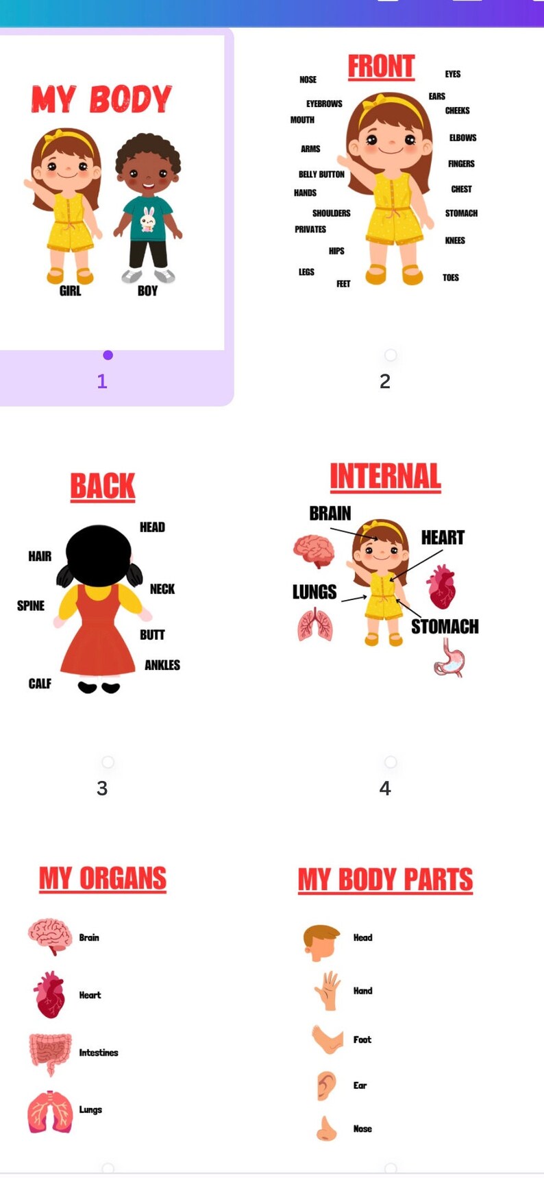 My Body, Childrens First Body Parts Book, Preschool Learning ...
