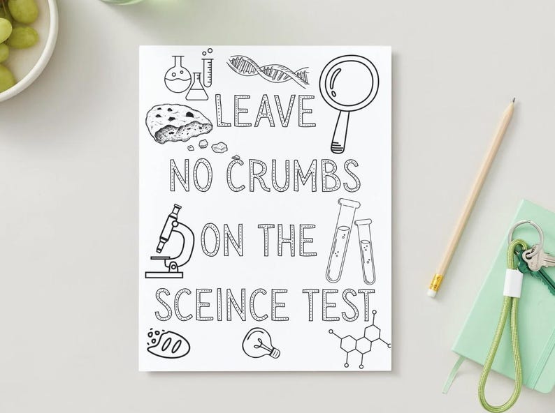 Classroom Coloring Pages for Testing Encouragement! - Etsy