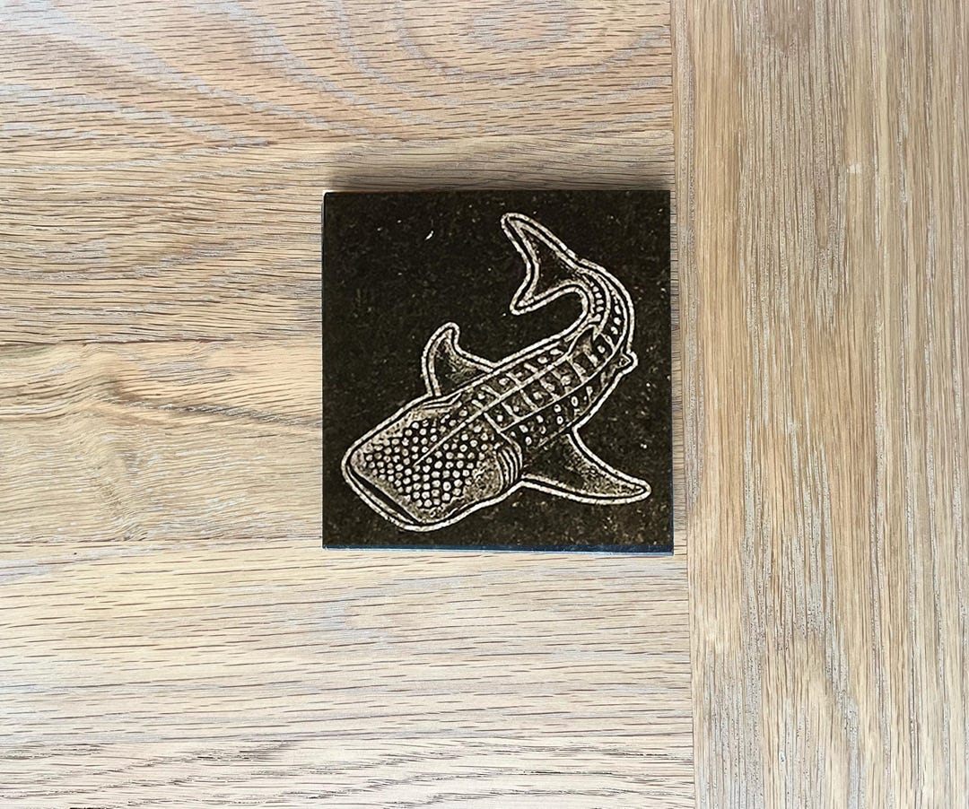 Whale Shark Granite Coaster, Whale Shark Lover, Marine Biology Coaster ...