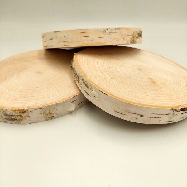 Birch Bark Art - Etsy