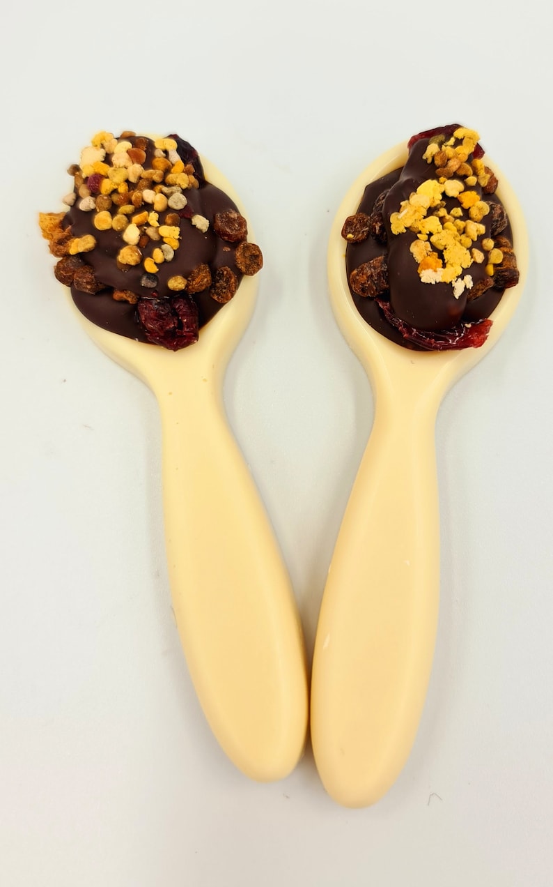 Artisan Chocolate Spoon With Bee Pollen & Cranberry - Luxurious Gift ...