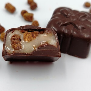 Indulgent Bee Products in Chocolate: Honey, Pollen & More in Gourmet ...