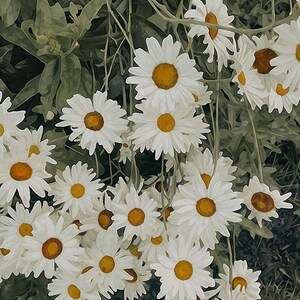 Vintage Collection- Daisy III, Vintage Nature Photography Digital ...