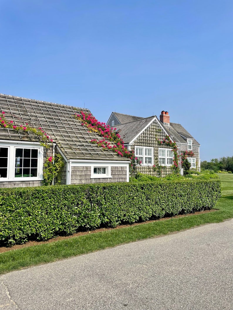 Nantucket Photography Digital Download, Bluff Walk Digital Download ...