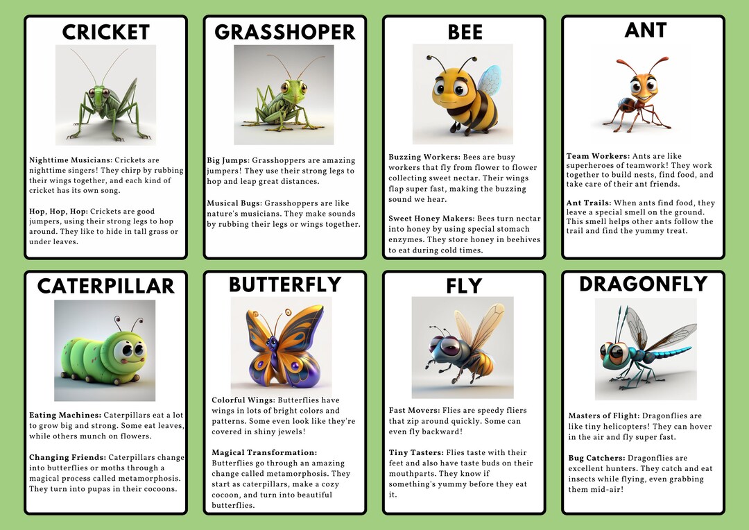 Insect Learning Flashcards for Kids (8 per Page) - Etsy