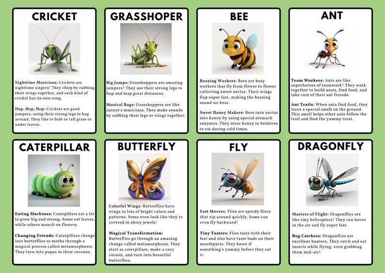 Insect Learning Flashcards for Kids (8 per Page) - Etsy