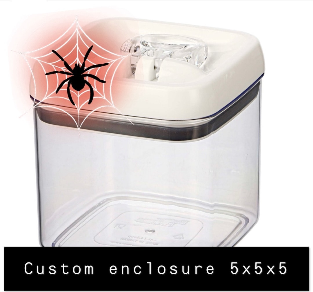 Custom Spider Enclosure - Etsy