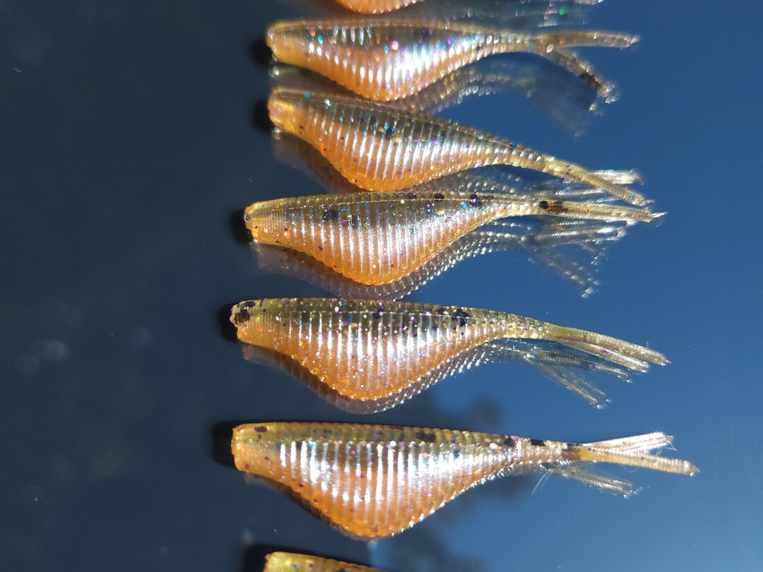 STS 2.25 Crappie Pork Belly Shad Soft Plastic Fishing Bait -- Midwest ...