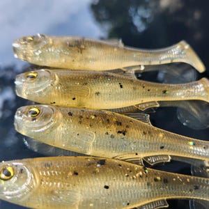 STS 3.8 Super Shad Swimbait Soft Plastic Bass Fishing Bait -- Sand Goby ...