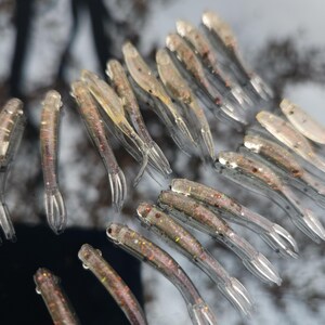 STS 1.25 Ice Minnow Soft Plastic Ice Fishing Bait -- Larva Bomb - Etsy