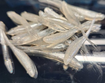 STS 1.75 BA Curly Tail Kicker Soft Plastic Crappie Fishing Bait Cherry ...