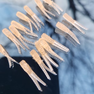 STS .75 Ice Twin Tickler Soft Plastic Ice Fishing Bait -- Sherbet ...