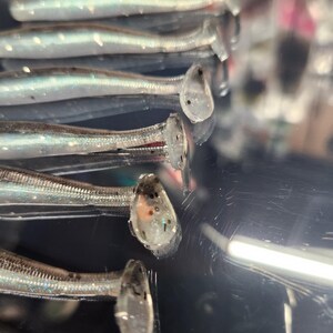 STS 3.0 Shimmy Shake Swimbait Soft Plastic Bass Fishing Bait -- Bad ...