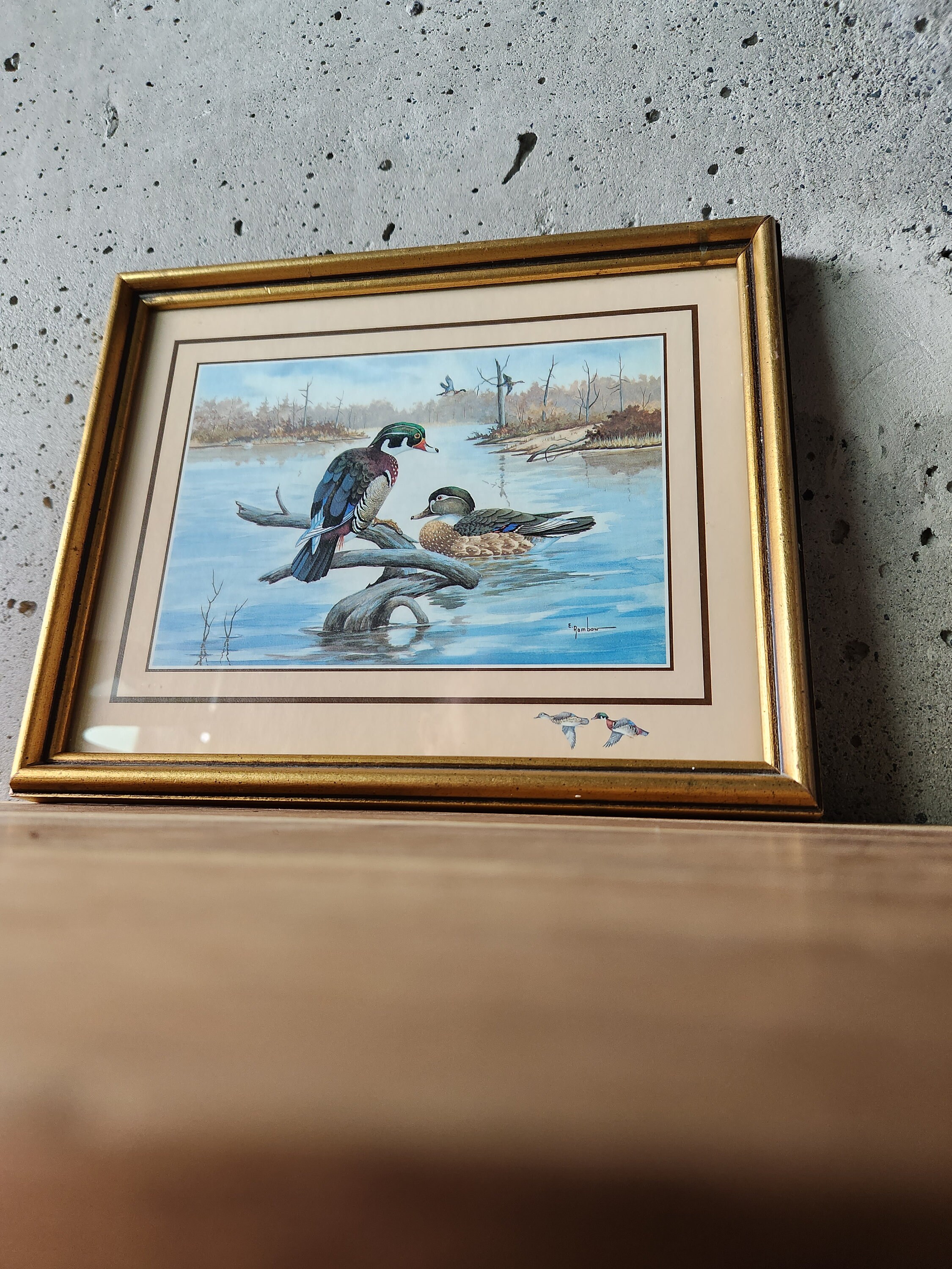 Vintage Erwin Rambow Lithograph Print-wood Ducks-wildlife Art-home ...