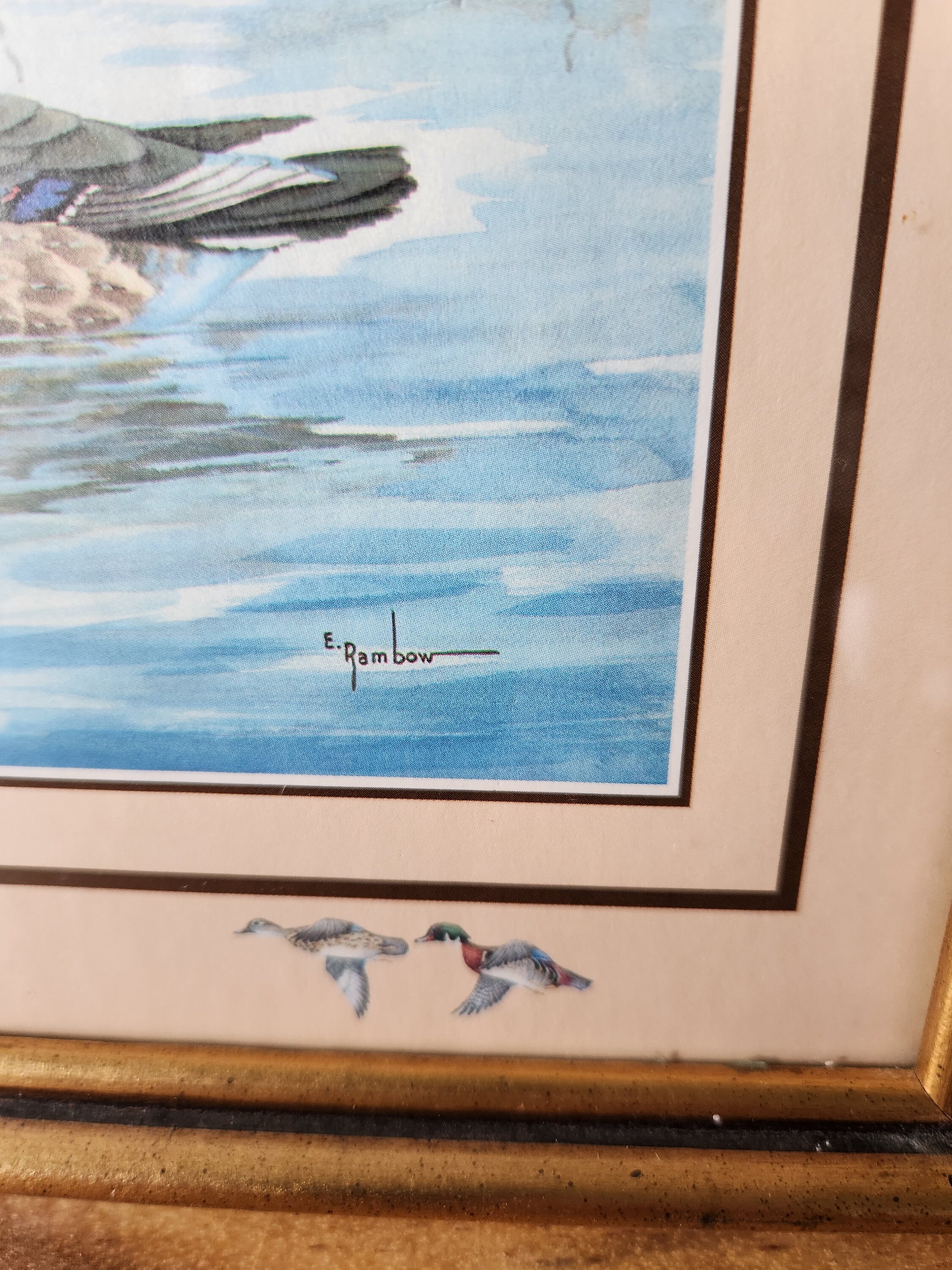 Vintage Erwin Rambow Lithograph Print-wood Ducks-wildlife Art-home ...