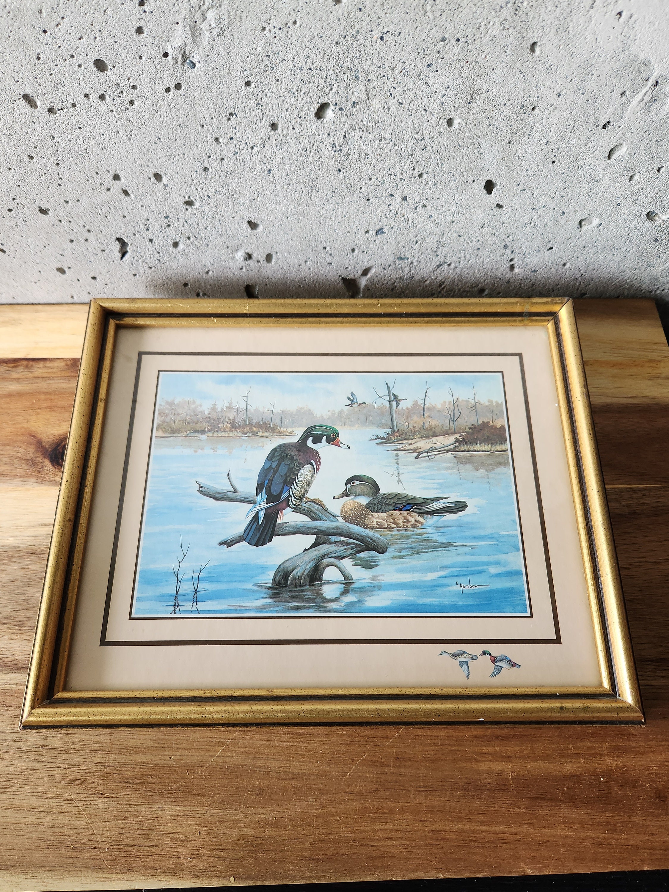 Vintage Erwin Rambow Lithograph Print-wood Ducks-wildlife Art-home ...