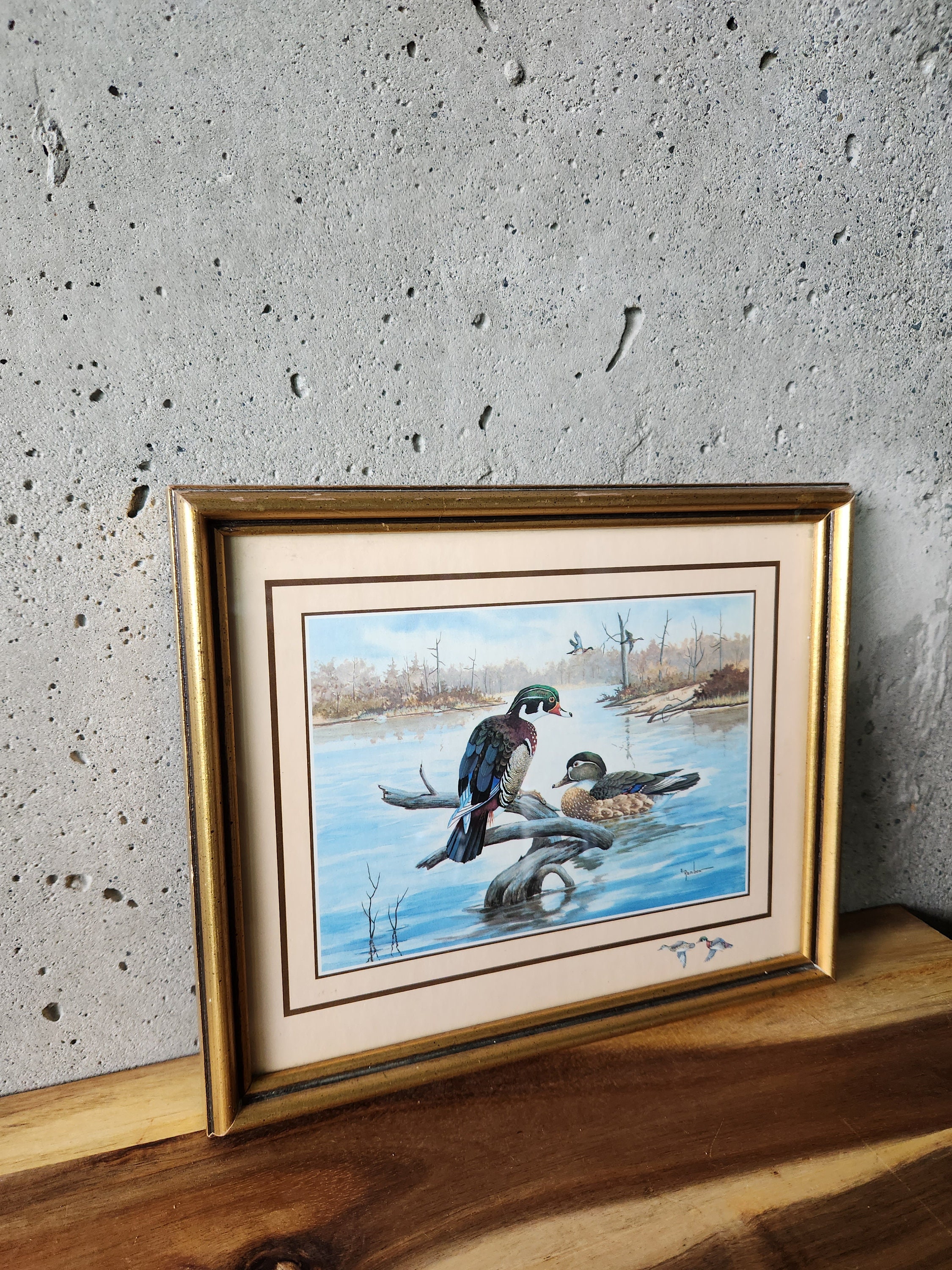 Vintage Erwin Rambow Lithograph Print-wood Ducks-wildlife Art-home ...