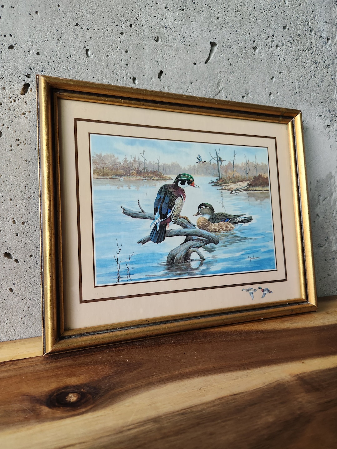 Vintage Erwin Rambow Lithograph Print-wood Ducks-wildlife Art-home ...