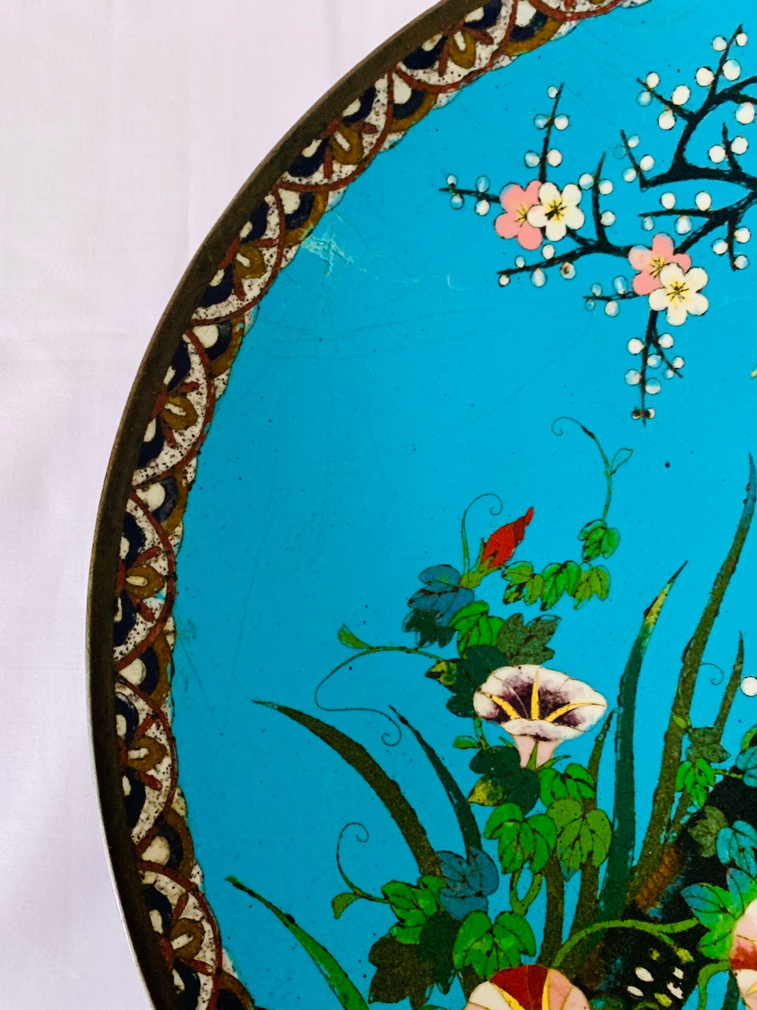 Antique Japanese Meiji Period Cloisonne Charger With Pigeon and Flowers ...