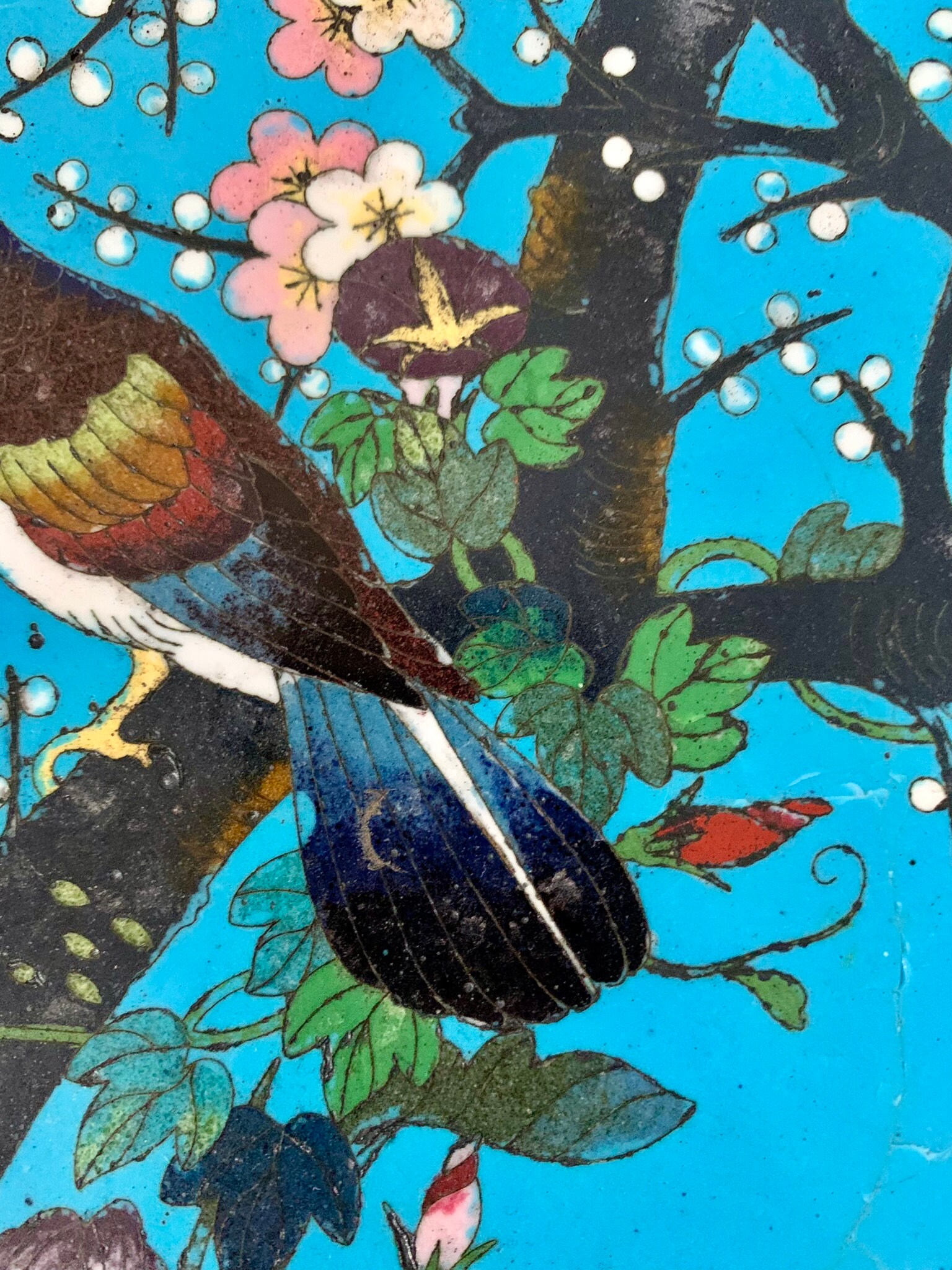 Antique Japanese Meiji Period Cloisonne Charger With Pigeon and Flowers ...