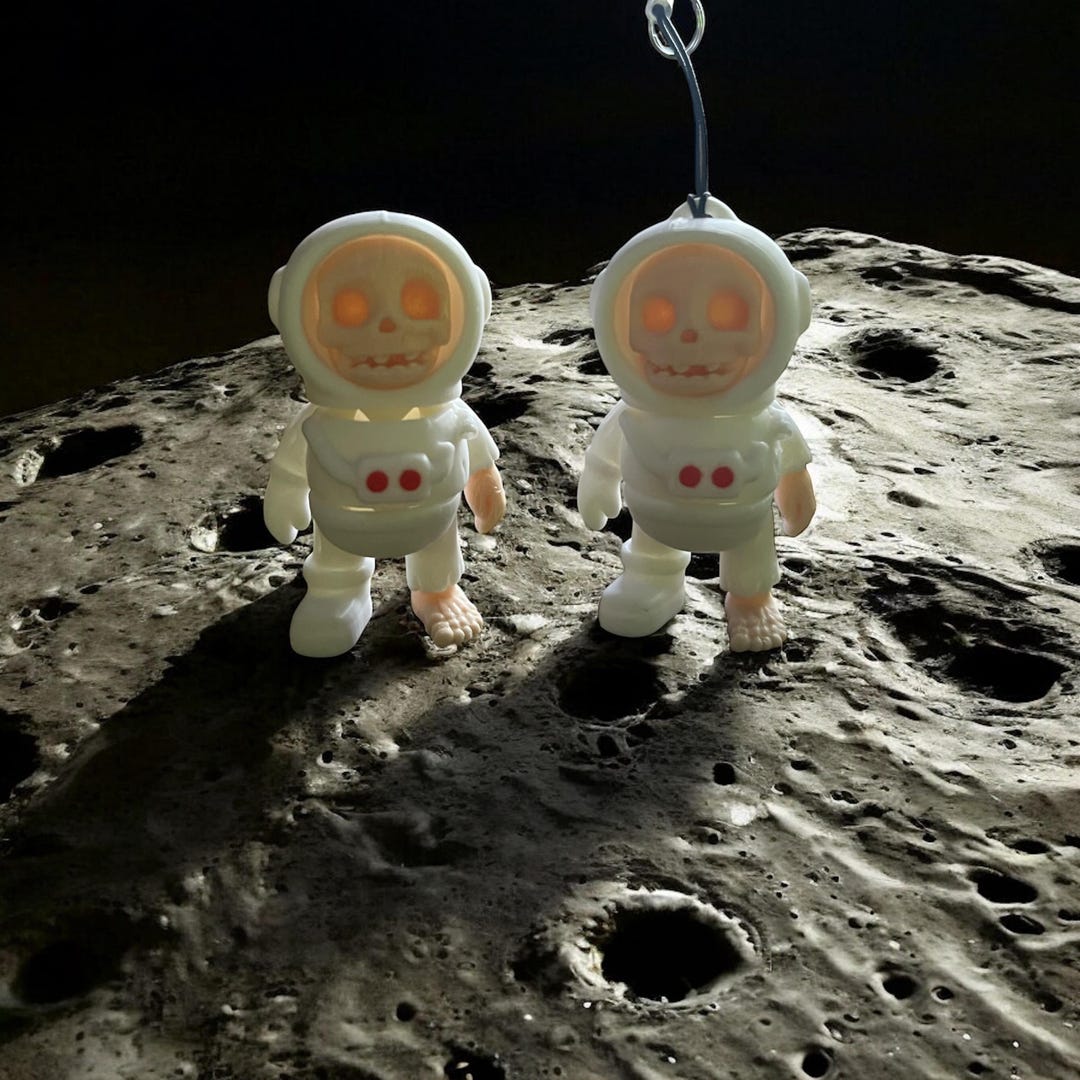 Mr Skelton Astronaut Halloween Style - Etsy