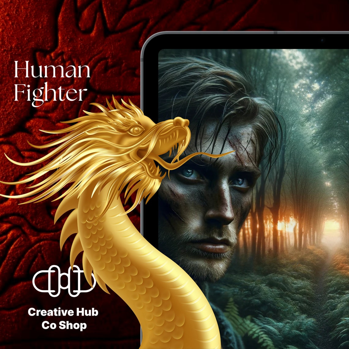 Dungeons and Dragons Human Fighter Character Portraits Core Set Dnd ...