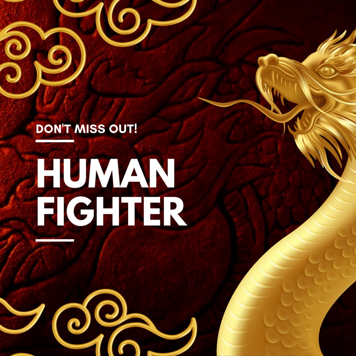 Dungeons and Dragons Human Fighter Character Portraits Core Set Dnd ...