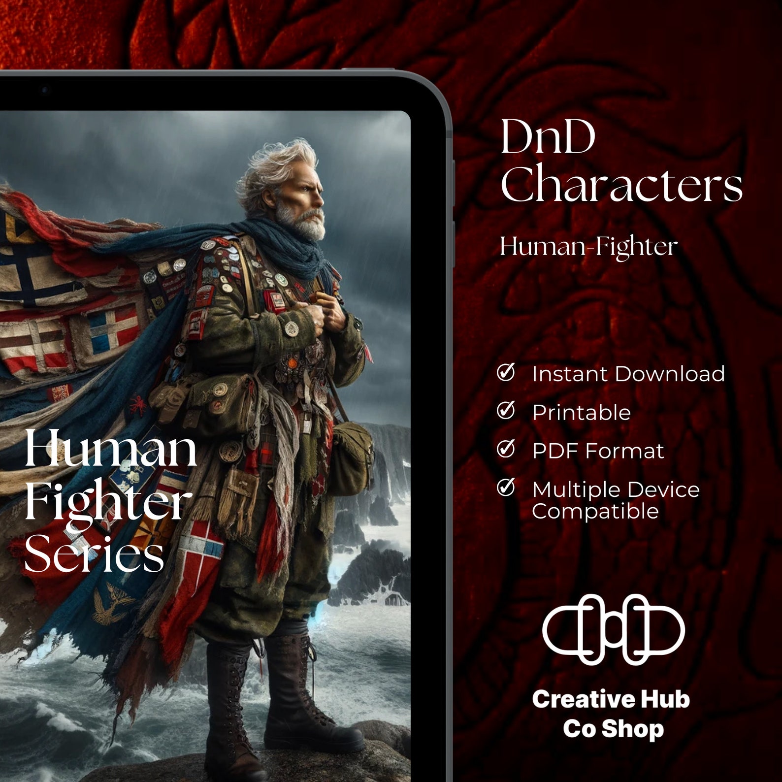 Dungeons and Dragons Human Fighter Character Portraits Core Set Dnd ...