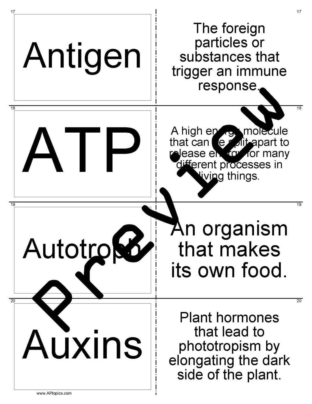 AP Biology Flashcards - Etsy