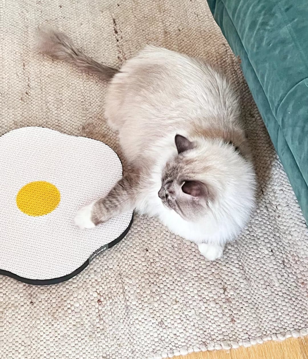 Cute Flower Cat Scratching Board, Wall Cat Scratcher, Cat Wall ...