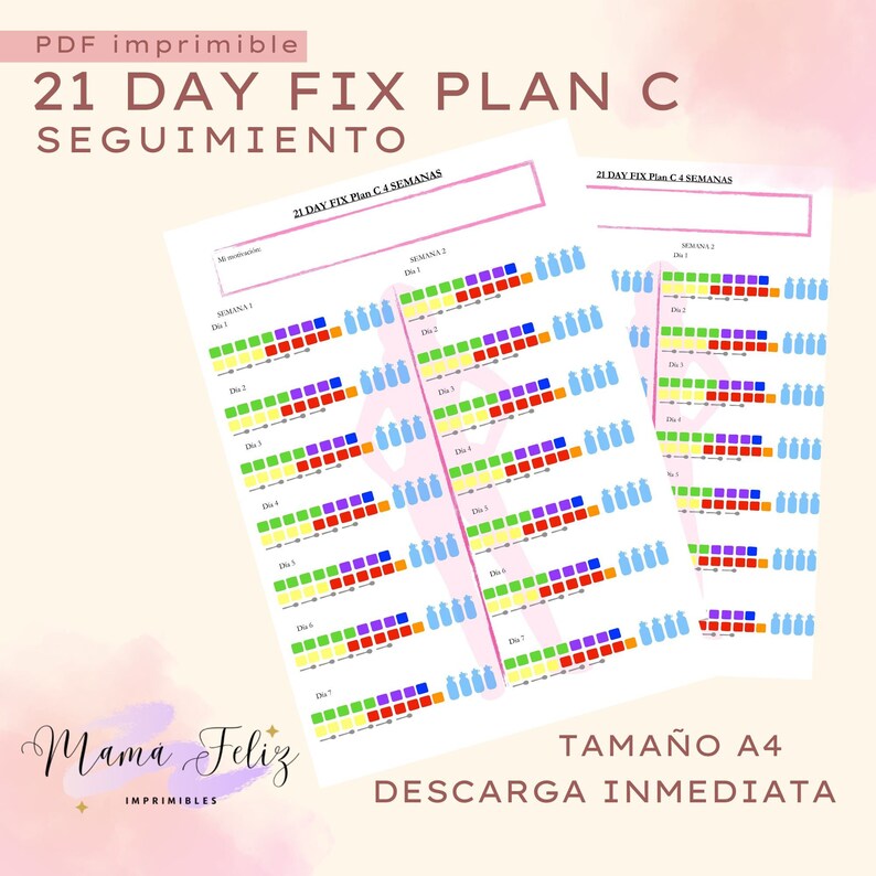 21 Day Fix Plan C Planner - Etsy