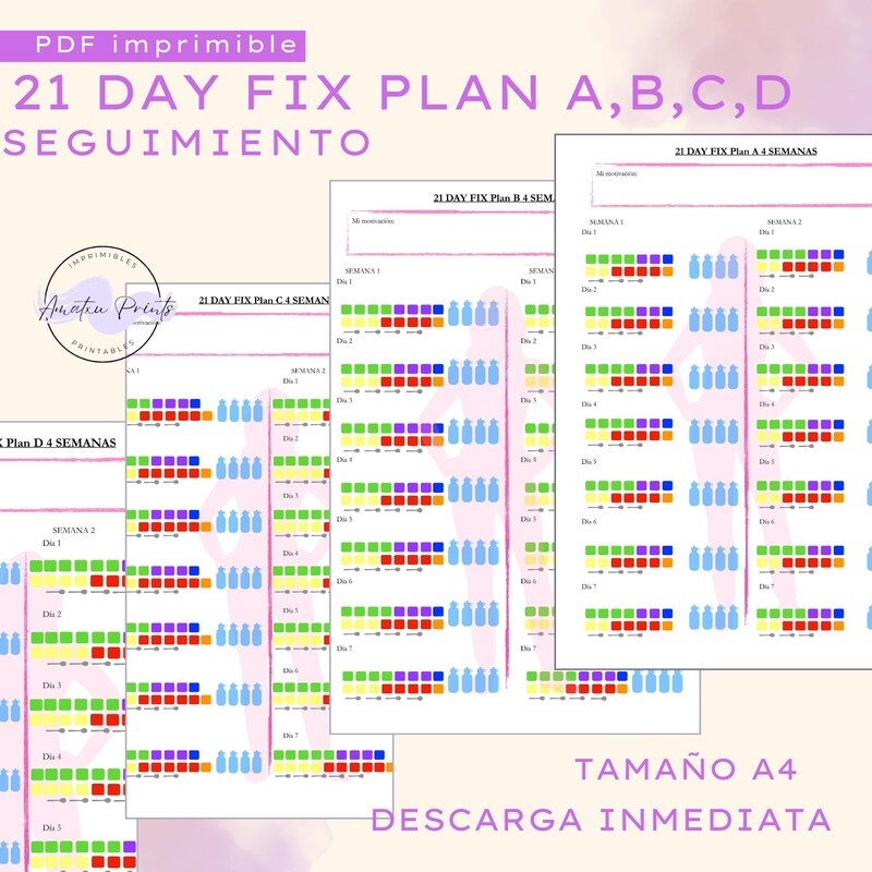 21 Day Fix Planner - Etsy