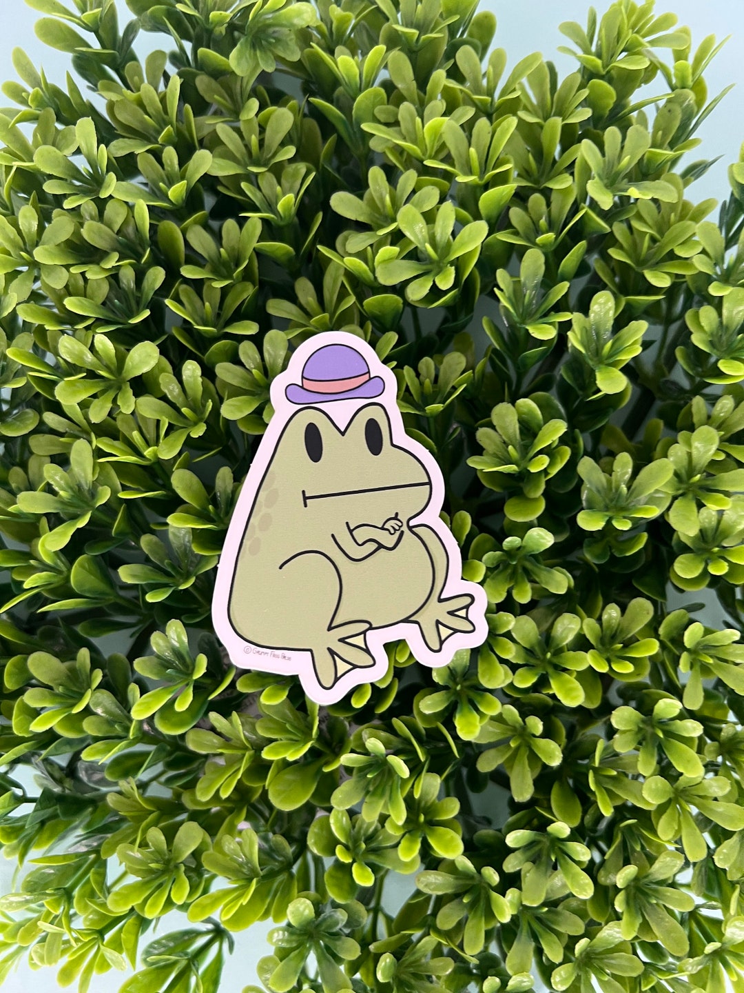Grumpy Gus the Frog - Frog Illustration Sticker - Etsy