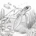 Underwater Turtle Coloring Pages for All Ages! - Etsy Canada